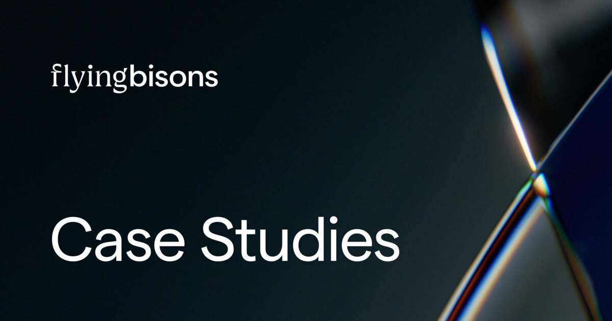 Our work - Case studies | Flying Bisons
